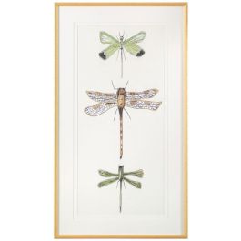John Richards Joy Colangelo's Joyful Dragonflies I | Unlimited Furniture
