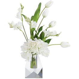 John Richard Snow White Blossoms