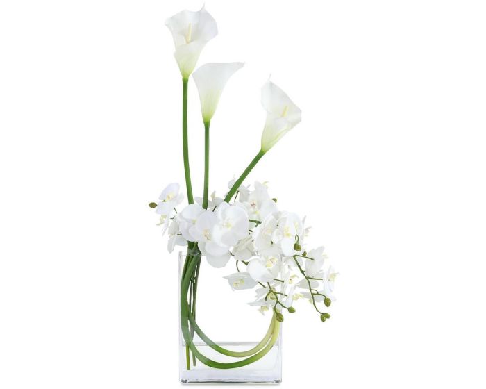 John Richard Snow White Blooms